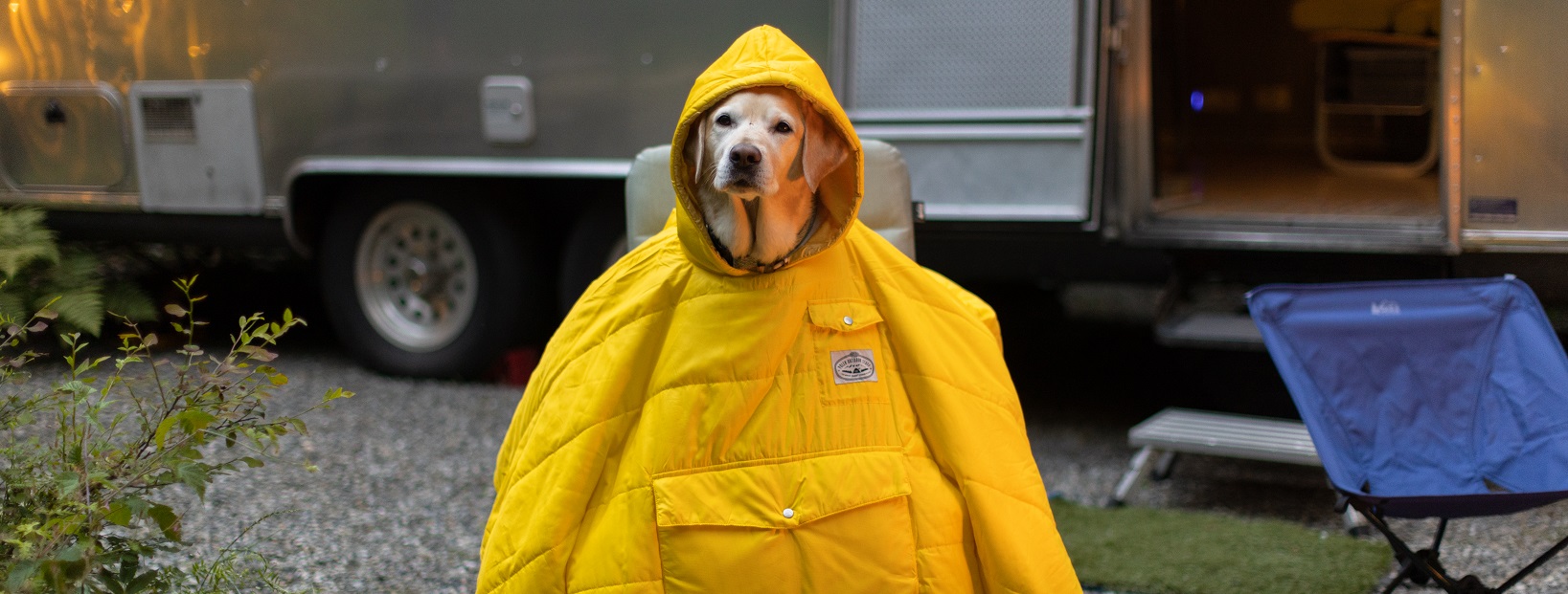 Fitness Classes & Events | REI Classes & Events