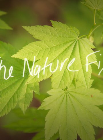 The Nature Fix: Our Public Lands | REI Co-op Journal