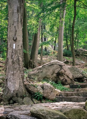 Pacific Crest Trail Backpacking Packing List | REI Co-op Journal