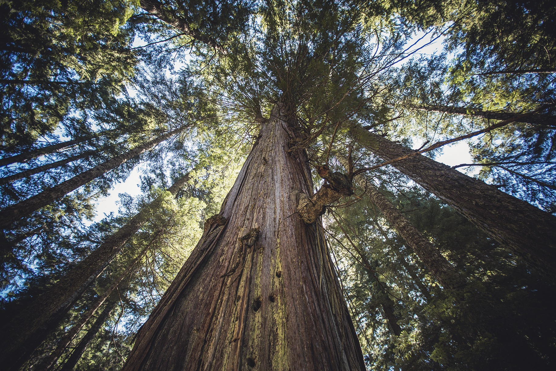 A Dose of the Outdoors: Nature's Impact on Health | REI Co-op Journal