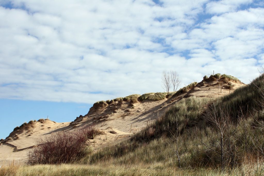 Indiana Dunes: History of State's First National Park | REI Co-op Journal