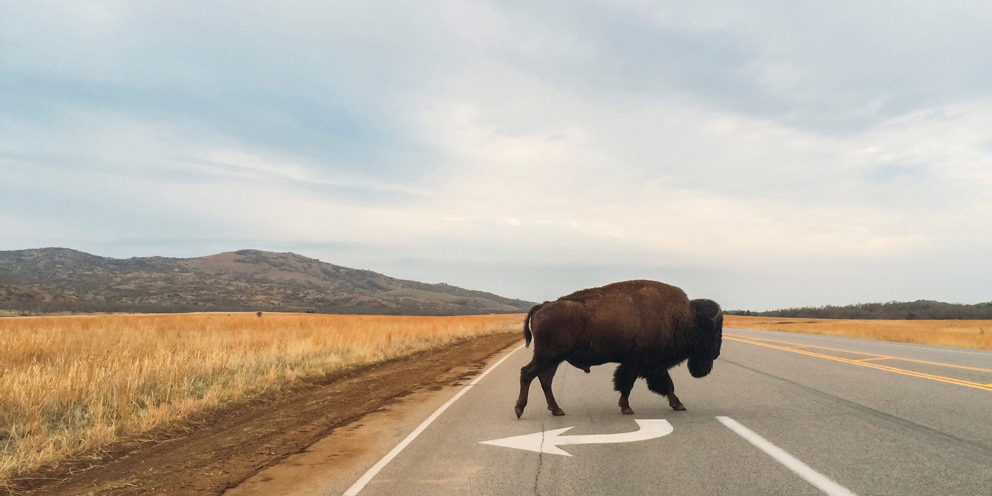 Wichita Mountains Guide - Our Favorite 6 Adventures | REI Co-op Journal