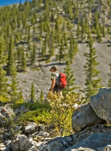 Pacific Crest Trail Backpacking Packing List - REI Co-op Journal