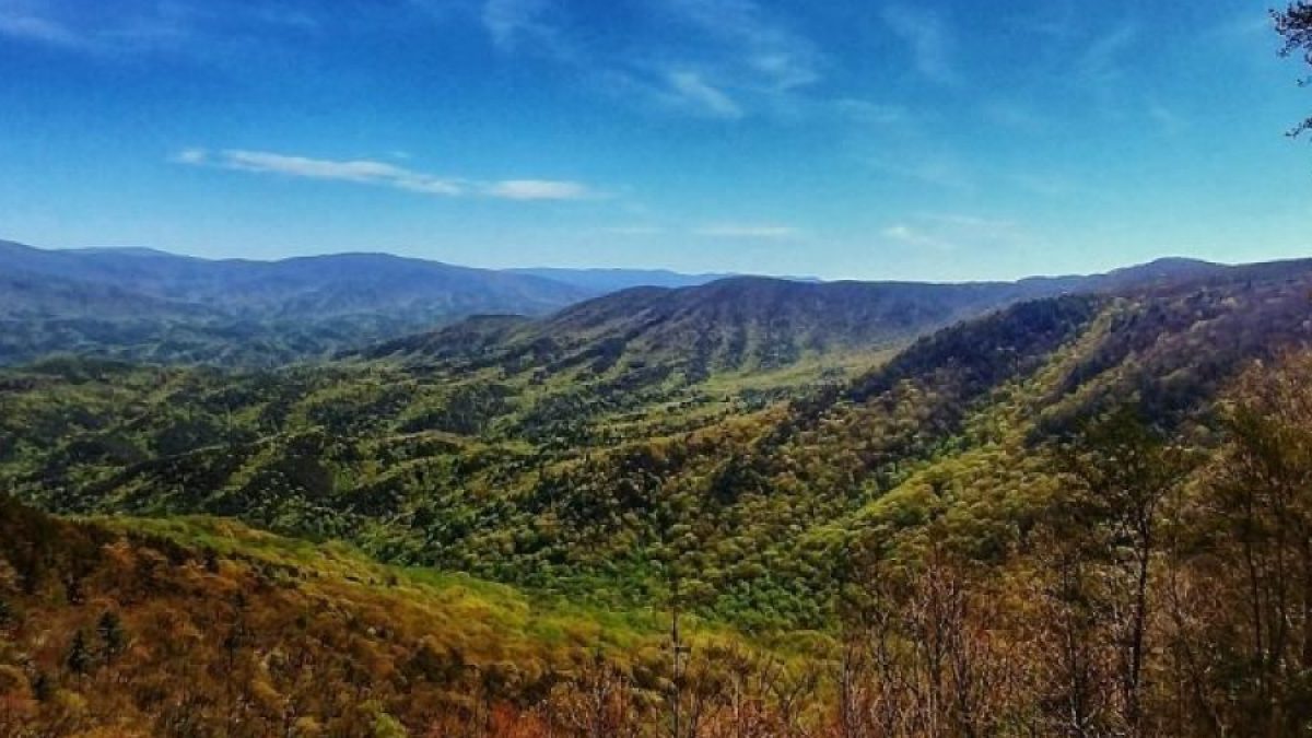 Best Hikes in Georgia - Uncommon Path – An REI Co-op Publication