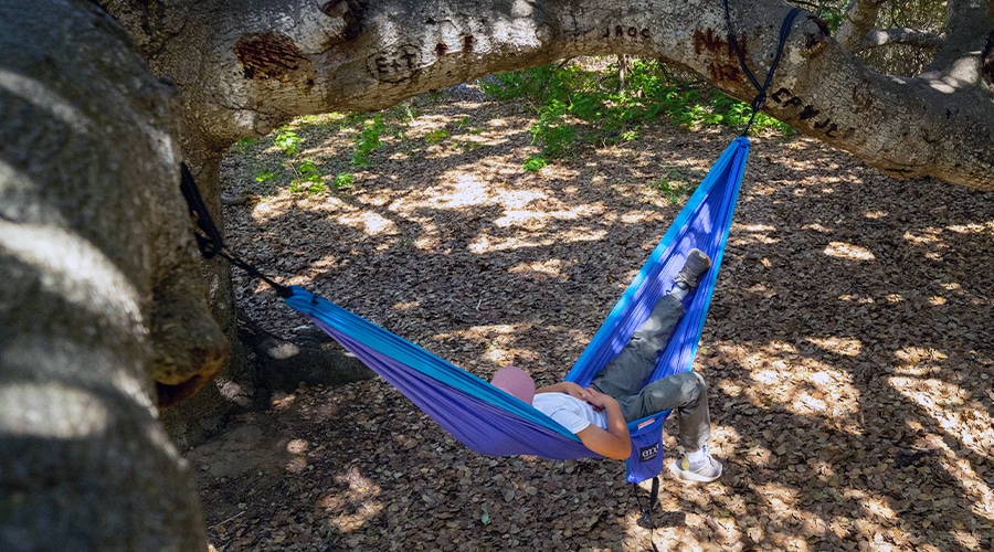 Best Hammocks for Camping & Lounging | REI Expert Advice