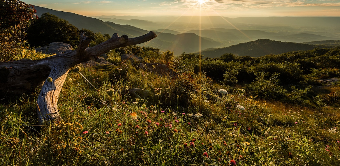 REI Cooperative Action Network | REI Co-op