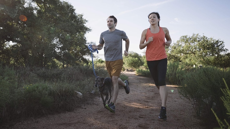 How to Trail Run with Your Dog | REI Expert Advice