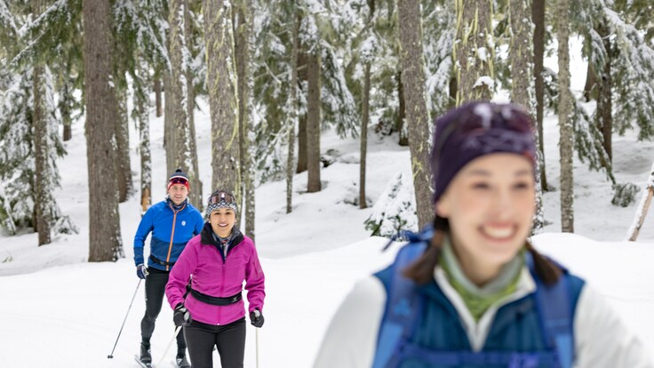 Beginner's Guide to Cross-Country Skiing | REI Expert Advice