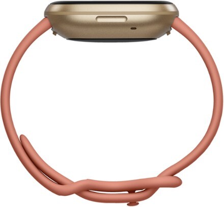 Heart Rate Monitors | REI Co-op