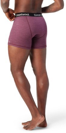 Smartwool Men's Underwear | REI Co-op