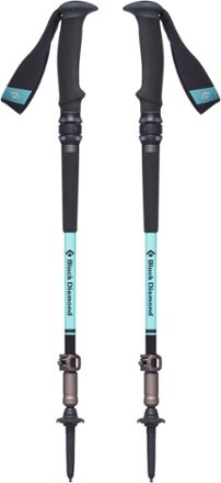 Trekking Poles, Hiking Staffs & Walking Sticks | REI Co-op