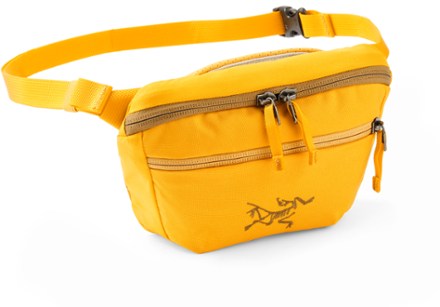 Arc'teryx Fanny Packs | REI Co-op