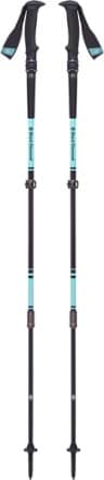 Trekking Poles, Hiking Staffs & Walking Sticks | REI Co-op