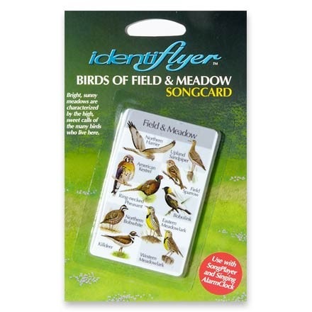 Identiflyer Birds of Field and Meadow Songcard | REI Co-op