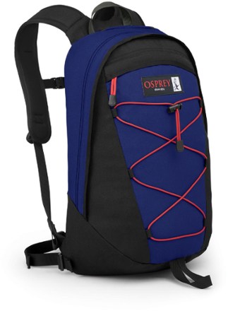 Osprey Laptop Bags | REI Co-op