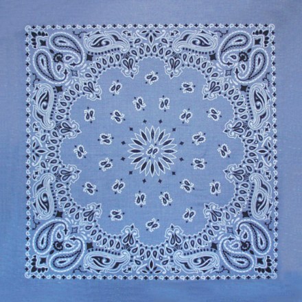 Carolina Mfg. Paisley Bandana | REI Co-op