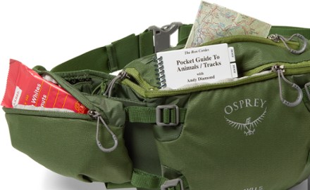 Fanny Packs & Waist Packs | REI Co-op