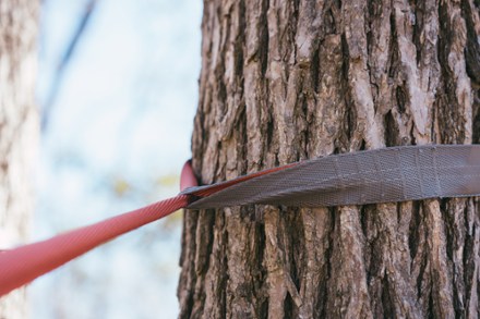 Kammok Python 10 Hammock Straps | REI Co-op