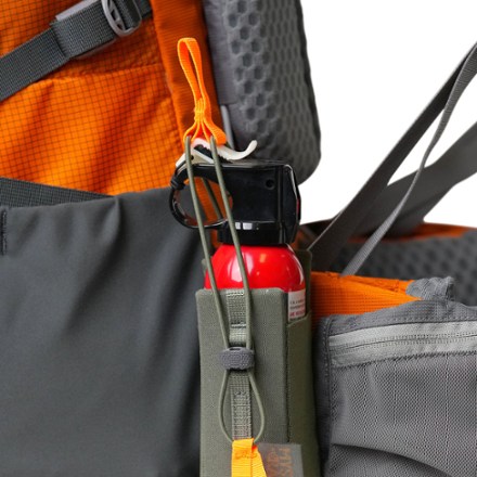 Bear Safety | REI Co-op