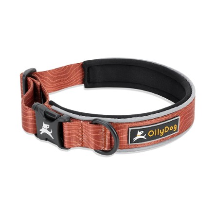 Dog Collars | REI Co-op