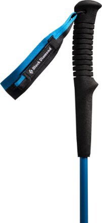 Trekking Poles, Hiking Staffs & Walking Sticks | REI Co-op