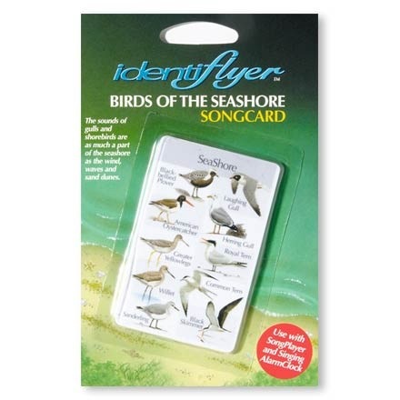 Identiflyer Birds of the Seashore Songcard | REI Co-op