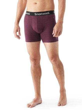 Smartwool Everyday Merino Boxer Briefs - Men's | REI Co-op