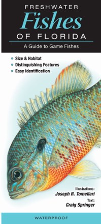 Quick Reference Publishing Freshwater Fishes of Pennsylvania | REI Co-op
