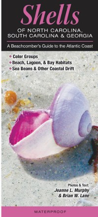 Quick Reference Publishing Shells of North Carolina, South Carolina ...